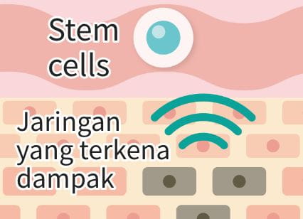 Blu Clinic. - Epilation Specialty Clinic Since2022